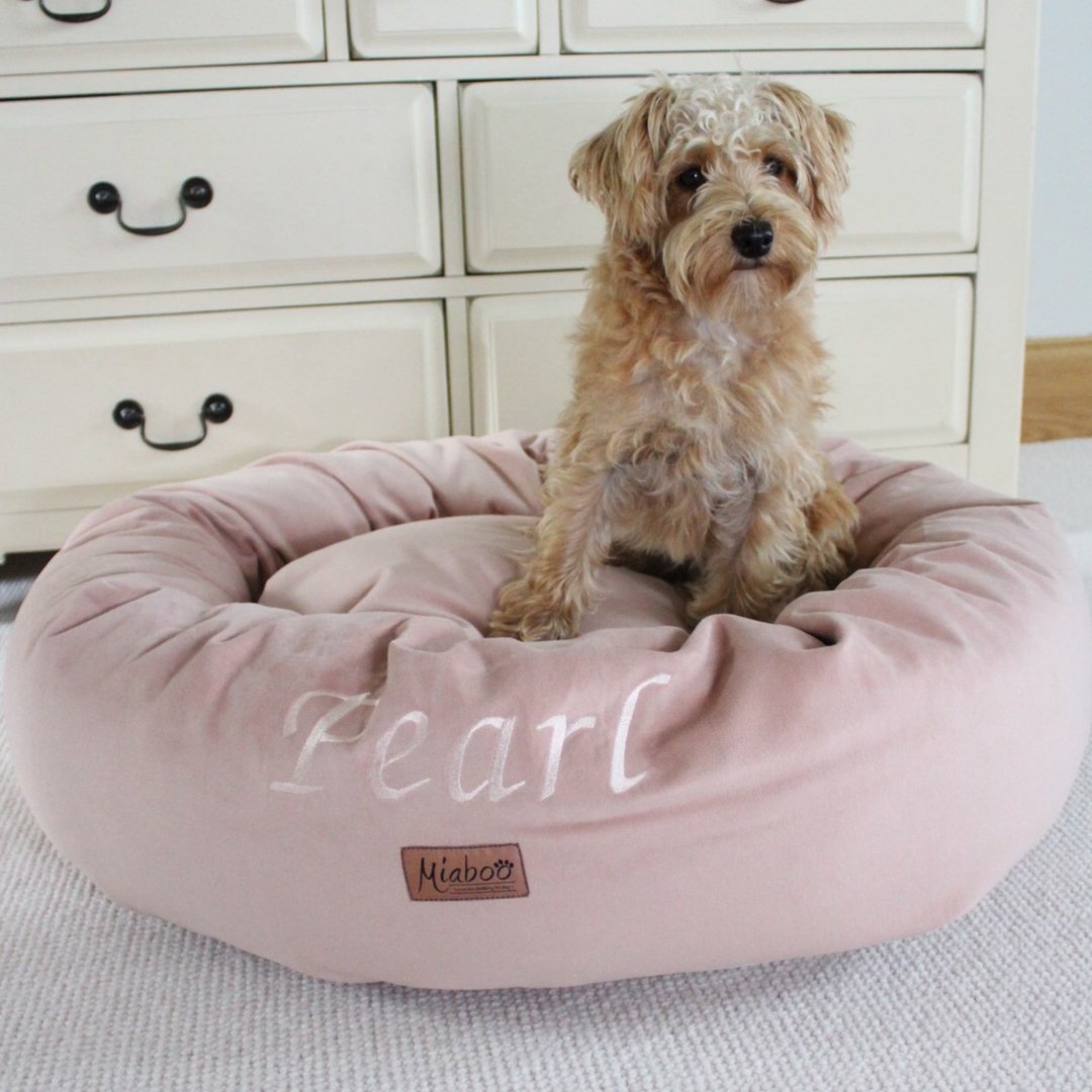 Personalised Dog Beds | Custom Dog Beds | Fancy Dog Beds – Chelsea Dogs