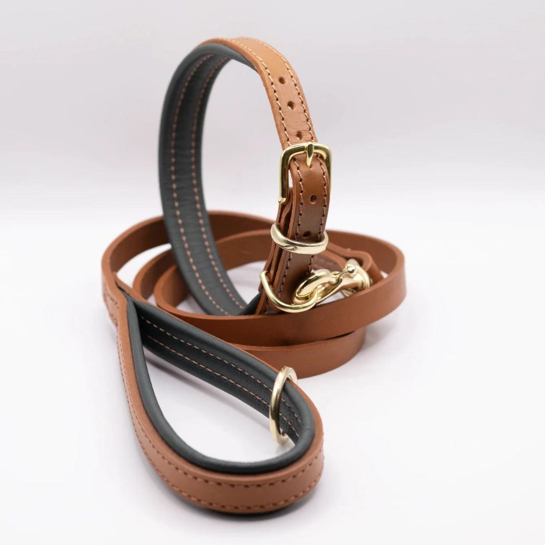 Luxury Designer Dog Collar & Lead Sets | Leather Dog Collar & Lead Set ...