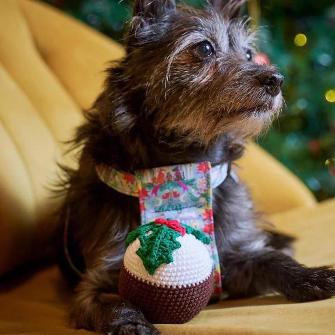 Christmas Toys For Dogs | Christmas Presents And Gifts For Dogs ...