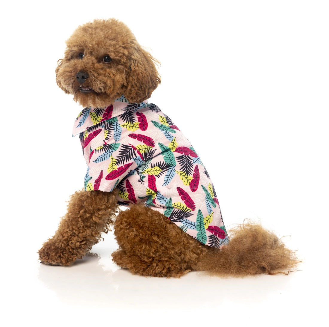 Designer Dog T-Shirts | Luxury Dog T-Shirts | Stylish Dog Clothing ...