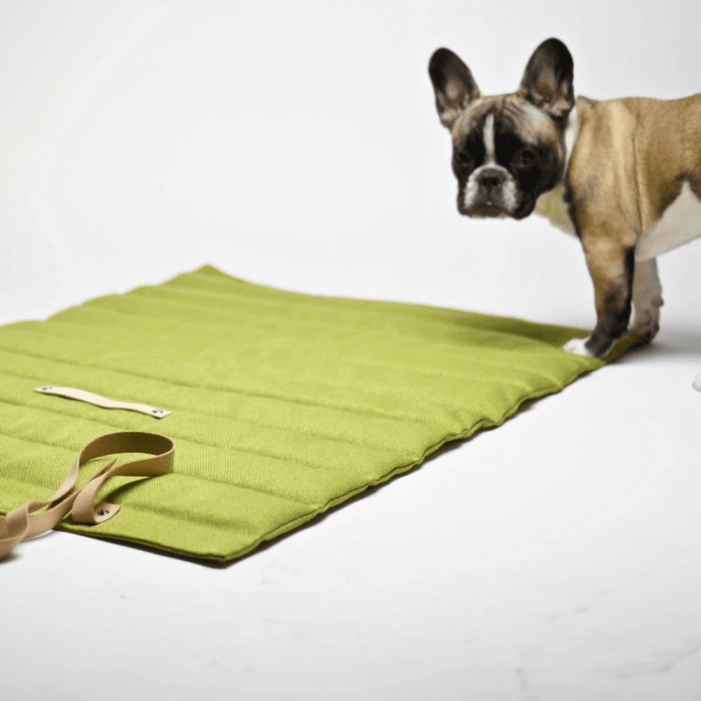 Travel Dog Beds | Portable Dog Beds – Chelsea Dogs