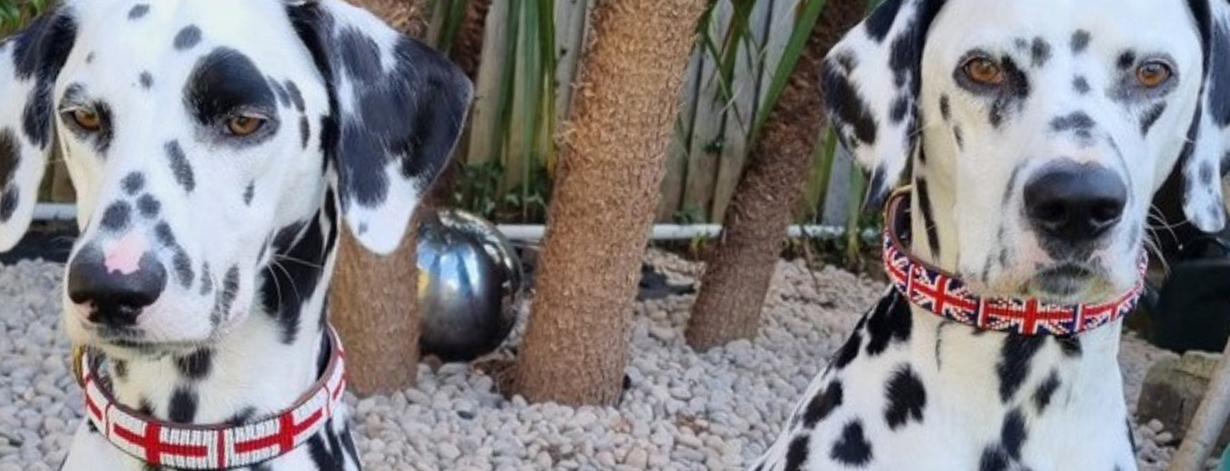 Luxury Dog Beds | Designer Dog Collars, Leads & Accessories UK ...