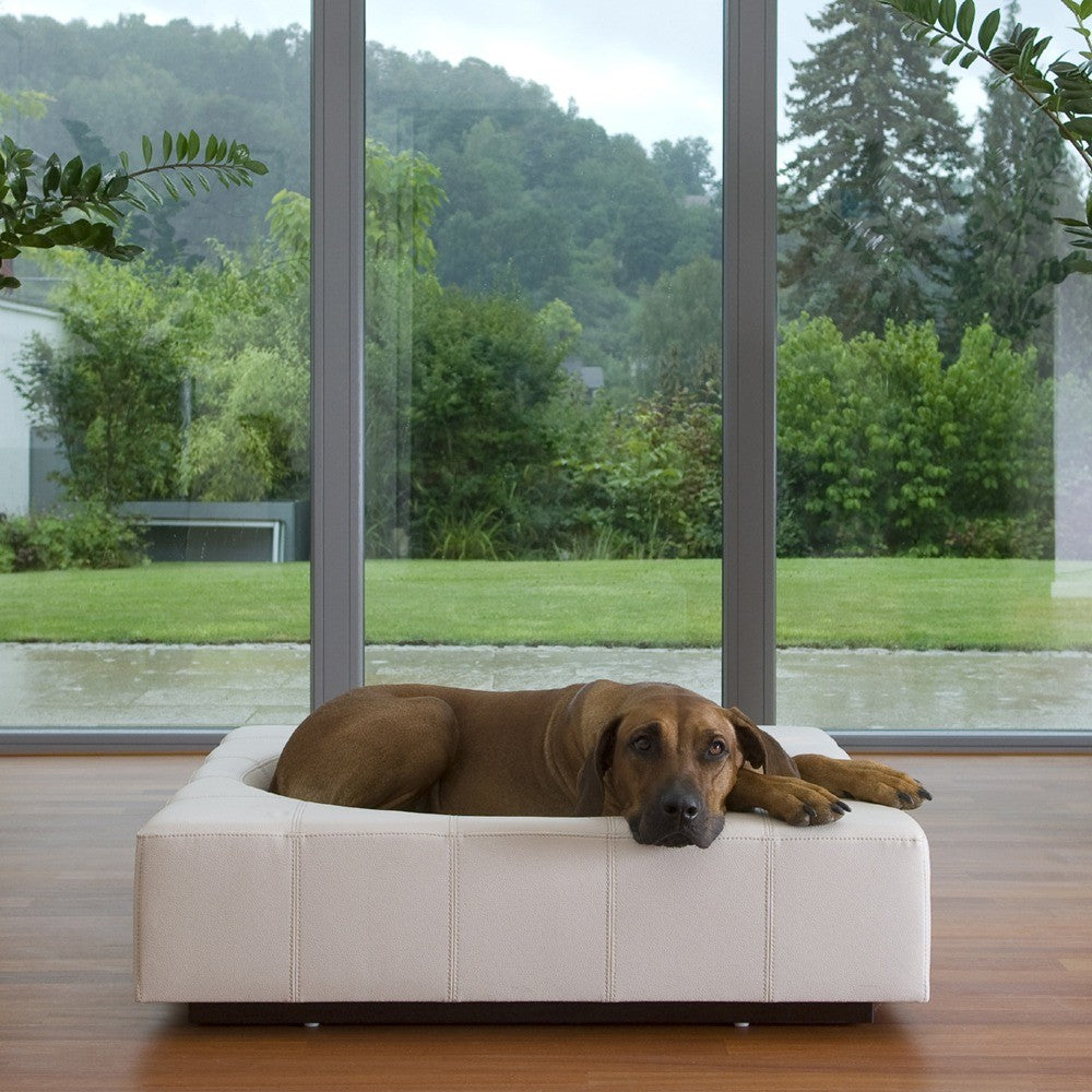 Luxury Faux Leather Cube Dog Bed | Leather Dog Beds – Chelsea Dogs