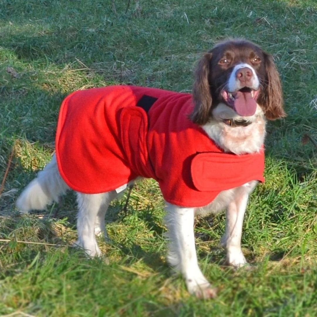 Original Dog Drying Coat Microfibre Dog Coats Chelsea Dogs Original Dog Drying Coat Microfibre Dog Coats Chelsea Dogs