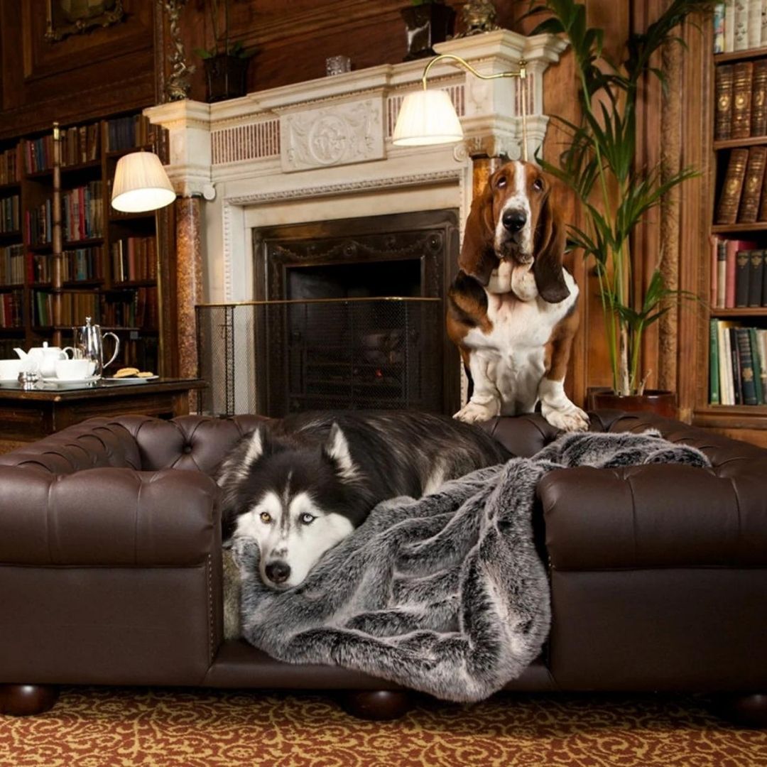 Scott's of London Balmoral Dog Chesterfield Brown Real Leather ...