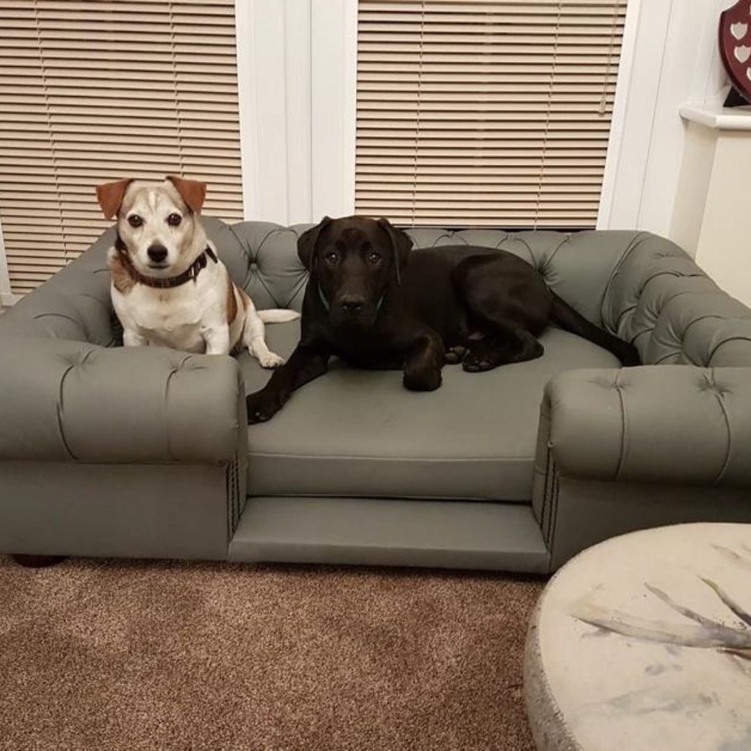 Scott's of London Balmoral Dog Chesterfield Grey Real Leather – Chelsea ...