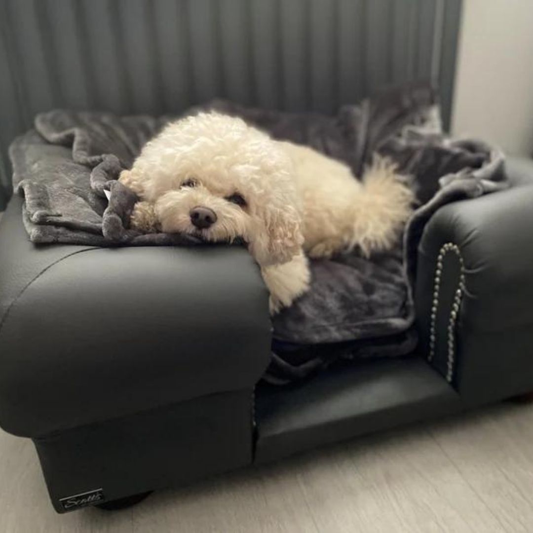 Scott's of London Balmoral Dog Chesterfield Grey Real Leather – Chelsea ...