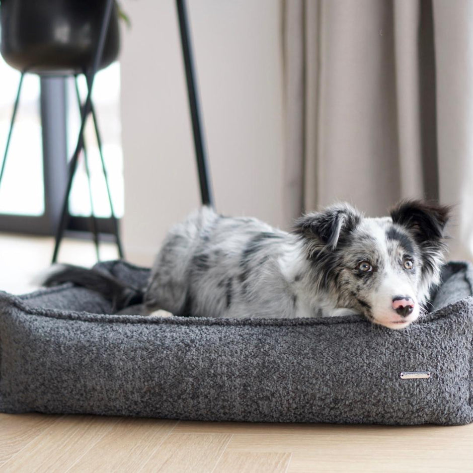 Luxury Dog Beds | Designer Dog Beds | Chelsea Dogs